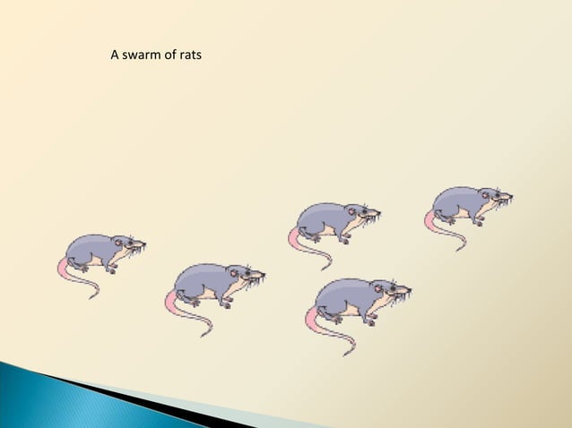 Chapter 4 – Flying Together.pptx