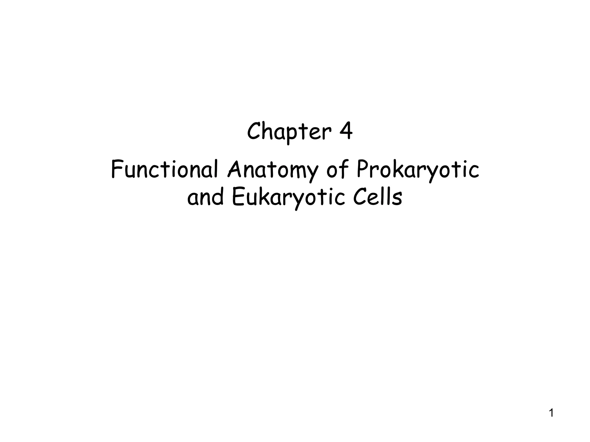 Chapter 4 functional anatomy of prok and euk partial | PPT