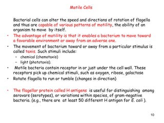 Chapter 4 functional anatomy of prok and euk partial | PPT