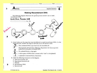 Chapter 4 genetic disorders | PPT