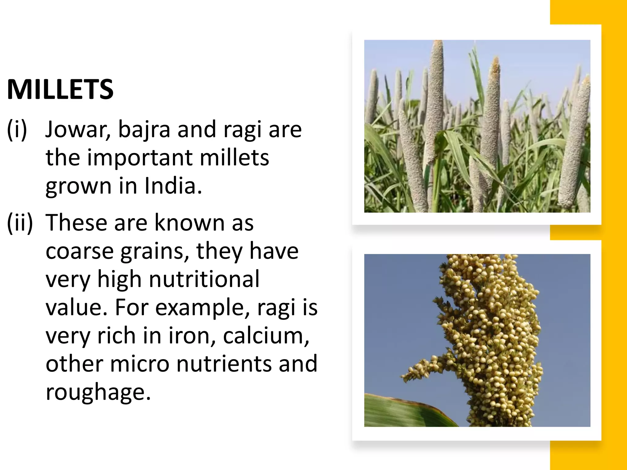 Chapter - 4, Agriculture, Geography, Social Science, Class 10 | PDF