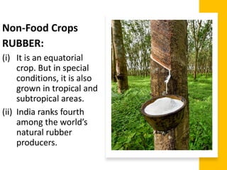 Chapter - 4, Agriculture, Geography, Social Science, Class 10 | PDF