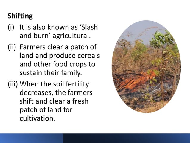 Chapter - 4, Agriculture, Geography, Social Science, Class 10 | PDF ...