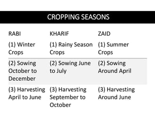 Chapter - 4, Agriculture, Geography, Social Science, Class 10 | PDF