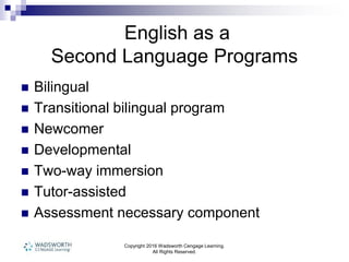 Chapter 4 Understanding Differences | PPT