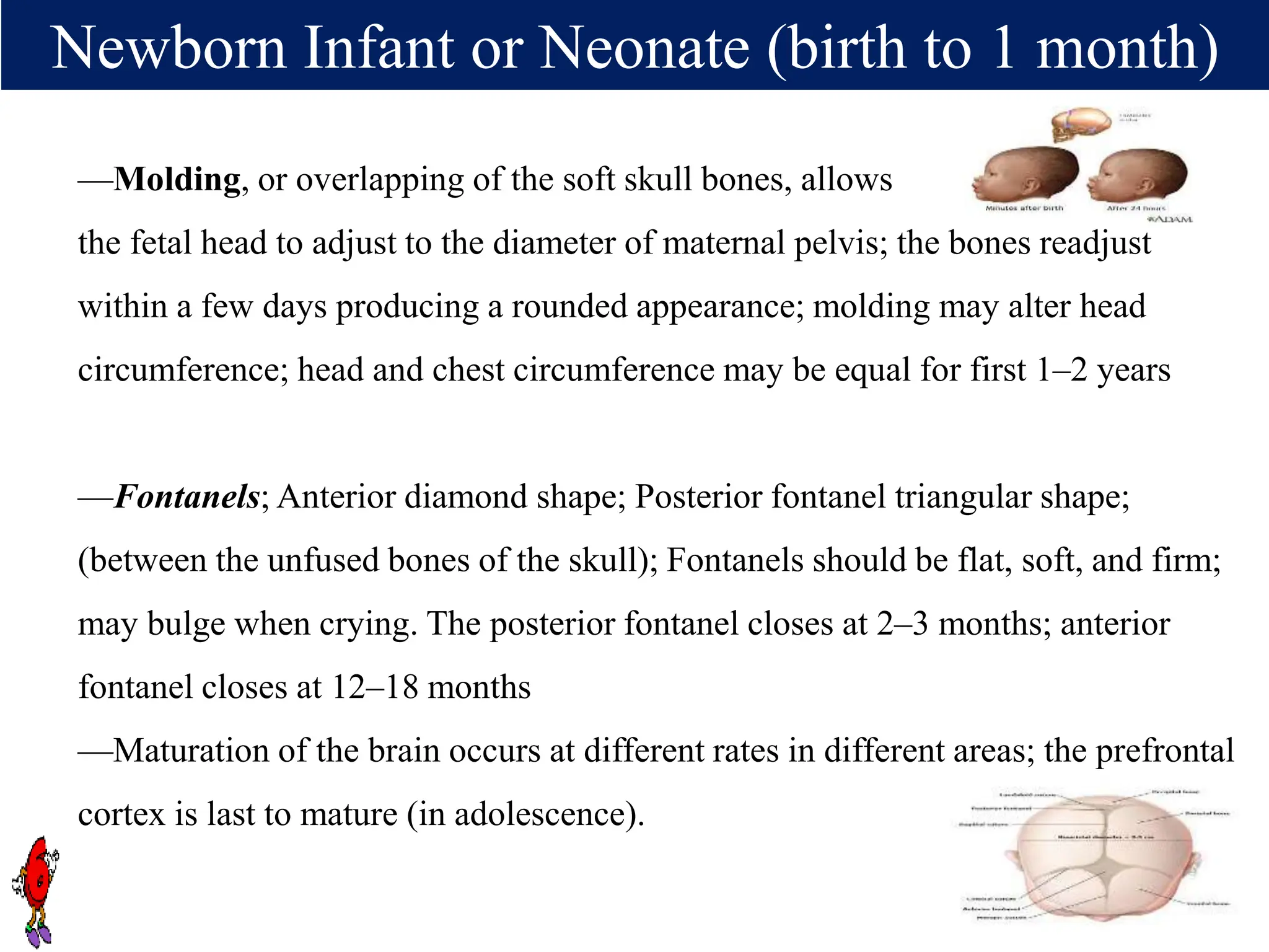 chapter 4 Growth-and-Development-of-Infancy.ppt