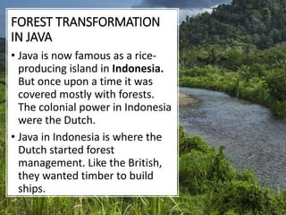 Chapter - 4, Forest Society and Colonialism, History, Social Science, Class 9 | PDF