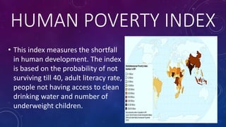 Chapter 4 human development | PDF