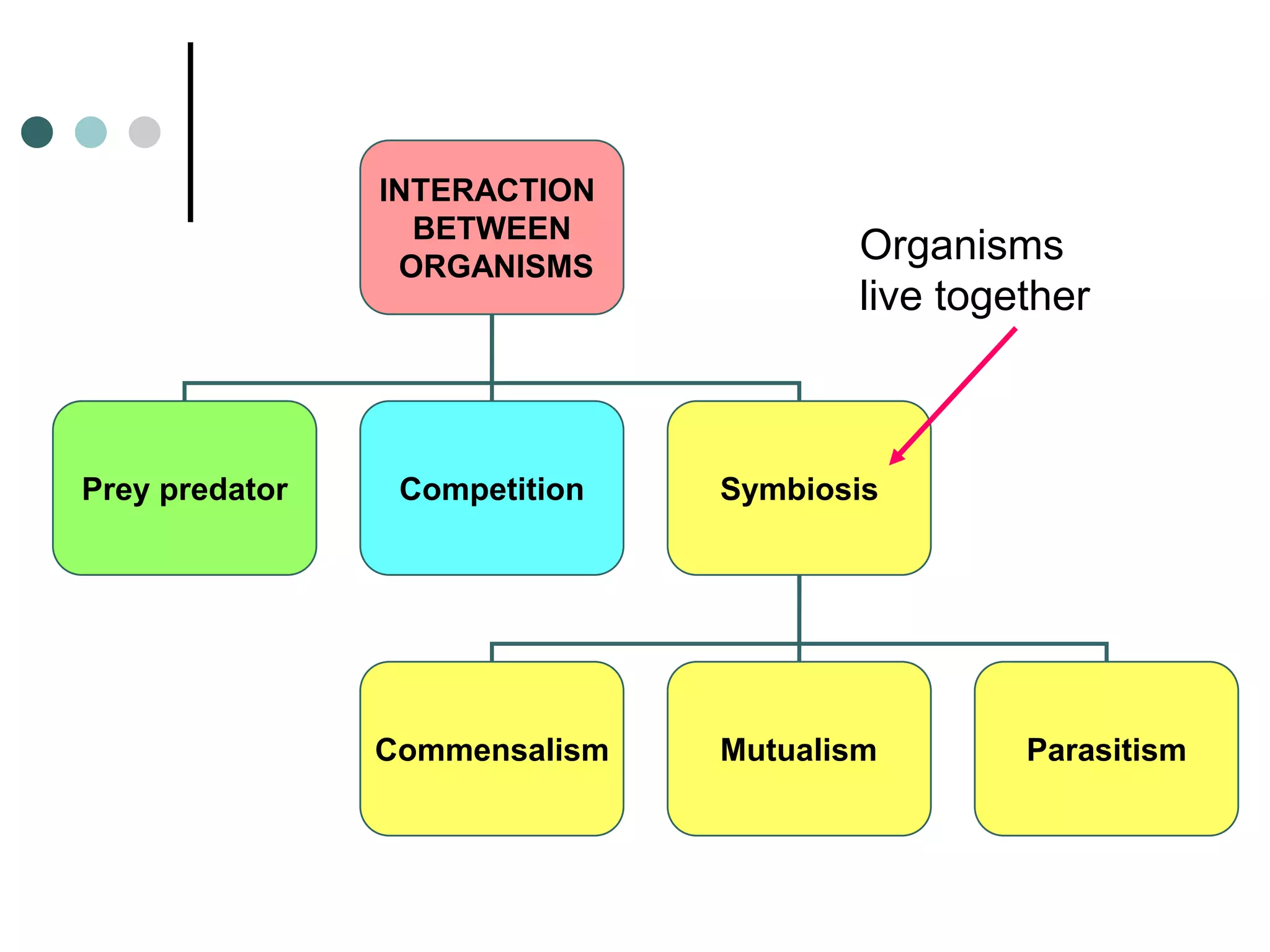 Chapter 4 interaction between organism | PPT