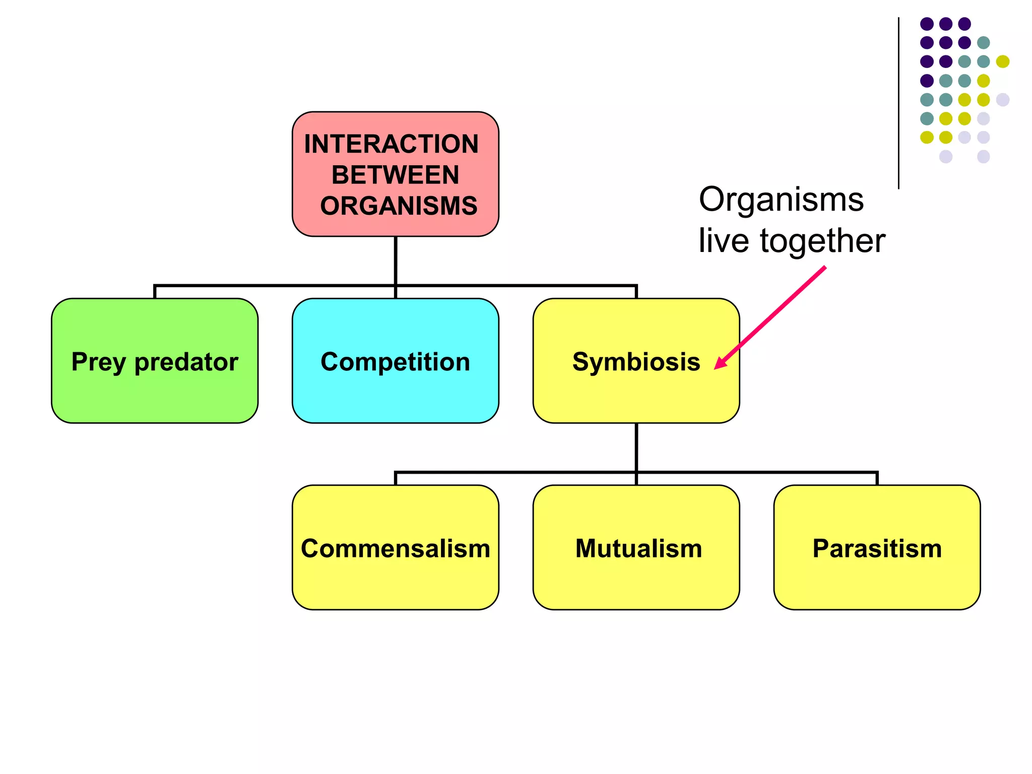 Chapter 4 interaction between organism | PPT