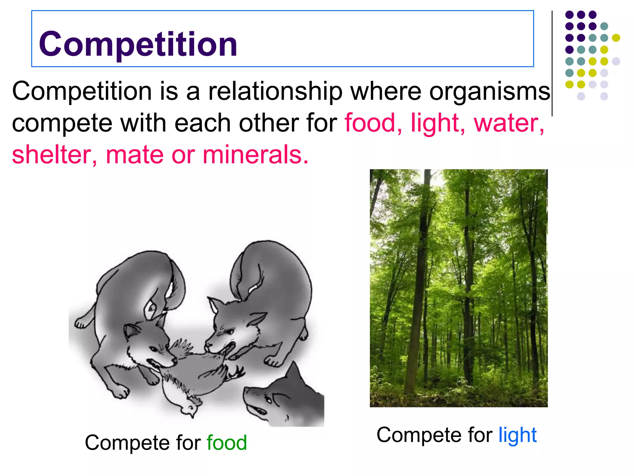 Chapter 4 interaction between organism | PPT