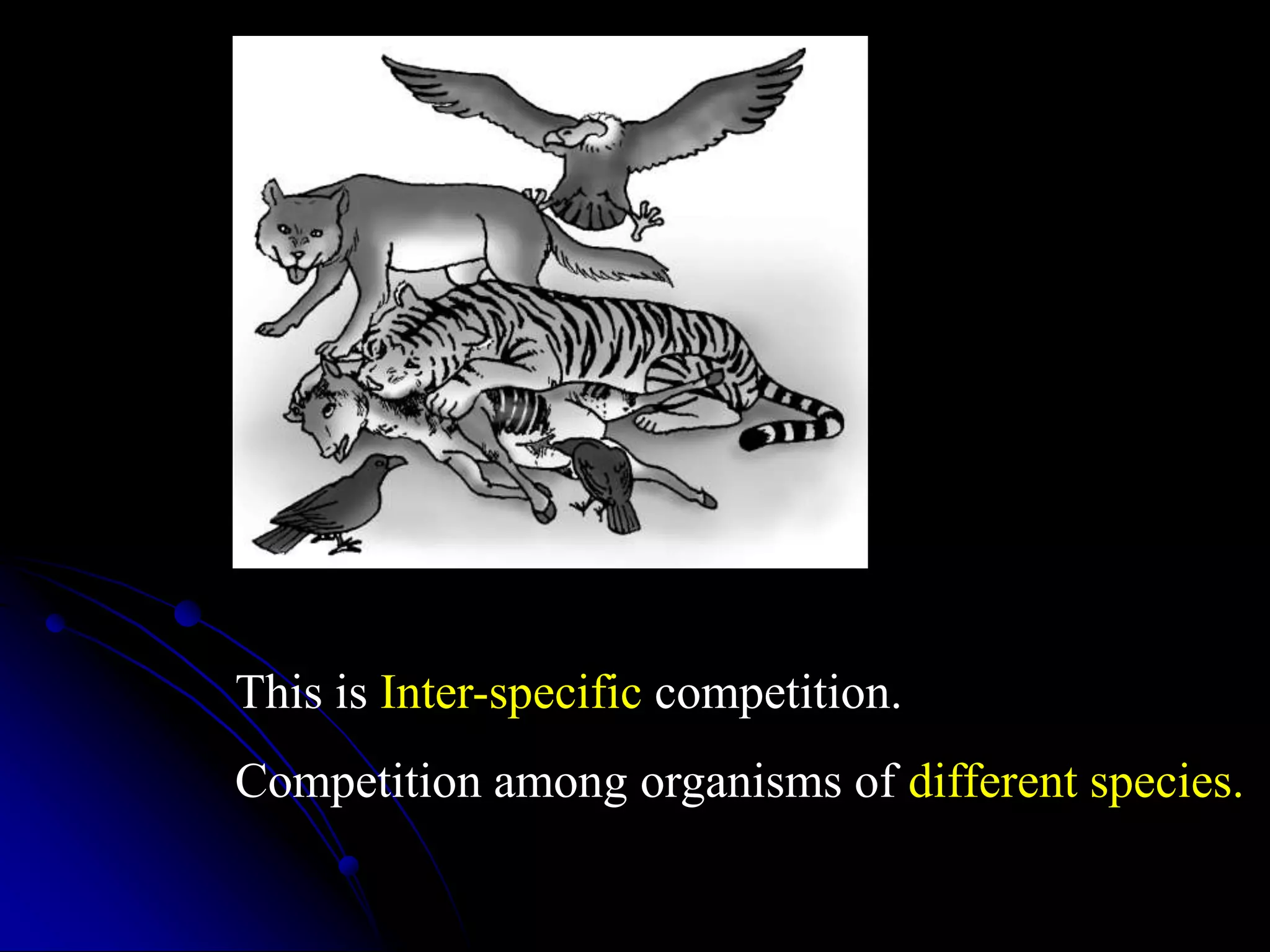 Chapter 4 interaction between organism | PPT