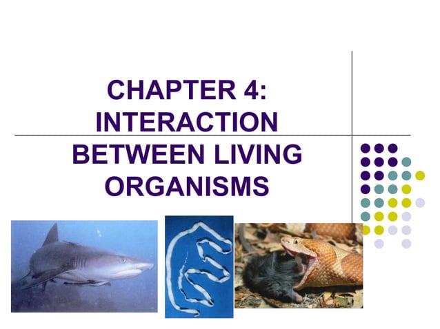 Chapter 4 interaction between organism | PPT | Gardening | Home & Garden