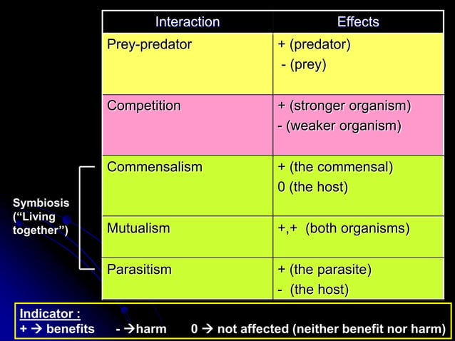 Chapter 4 interaction between organism | PPT | Gardening | Home & Garden