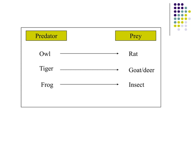 Chapter 4 interaction between organism | PPT | Gardening | Home & Garden