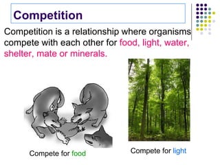 Chapter 4 interaction between organism | PPT