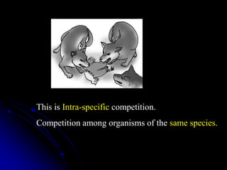 Chapter 4 interaction between organism | PPT