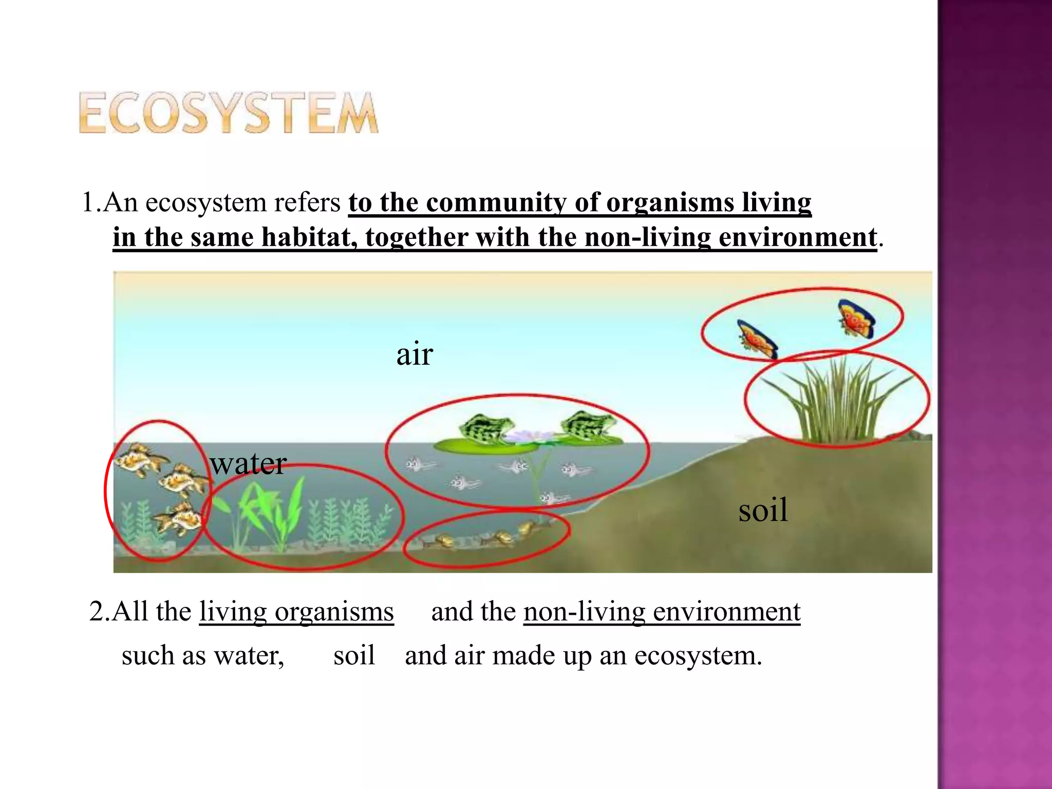 Chapter 4 interdependence among living organisms and the envirronment ...