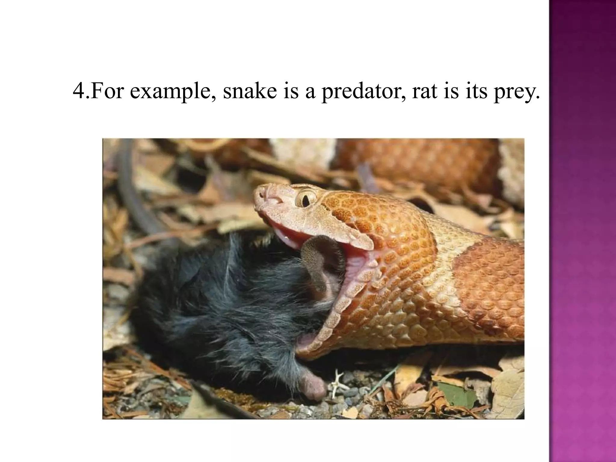 Chapter 4 interdependence among living organisms and the envirronment ...