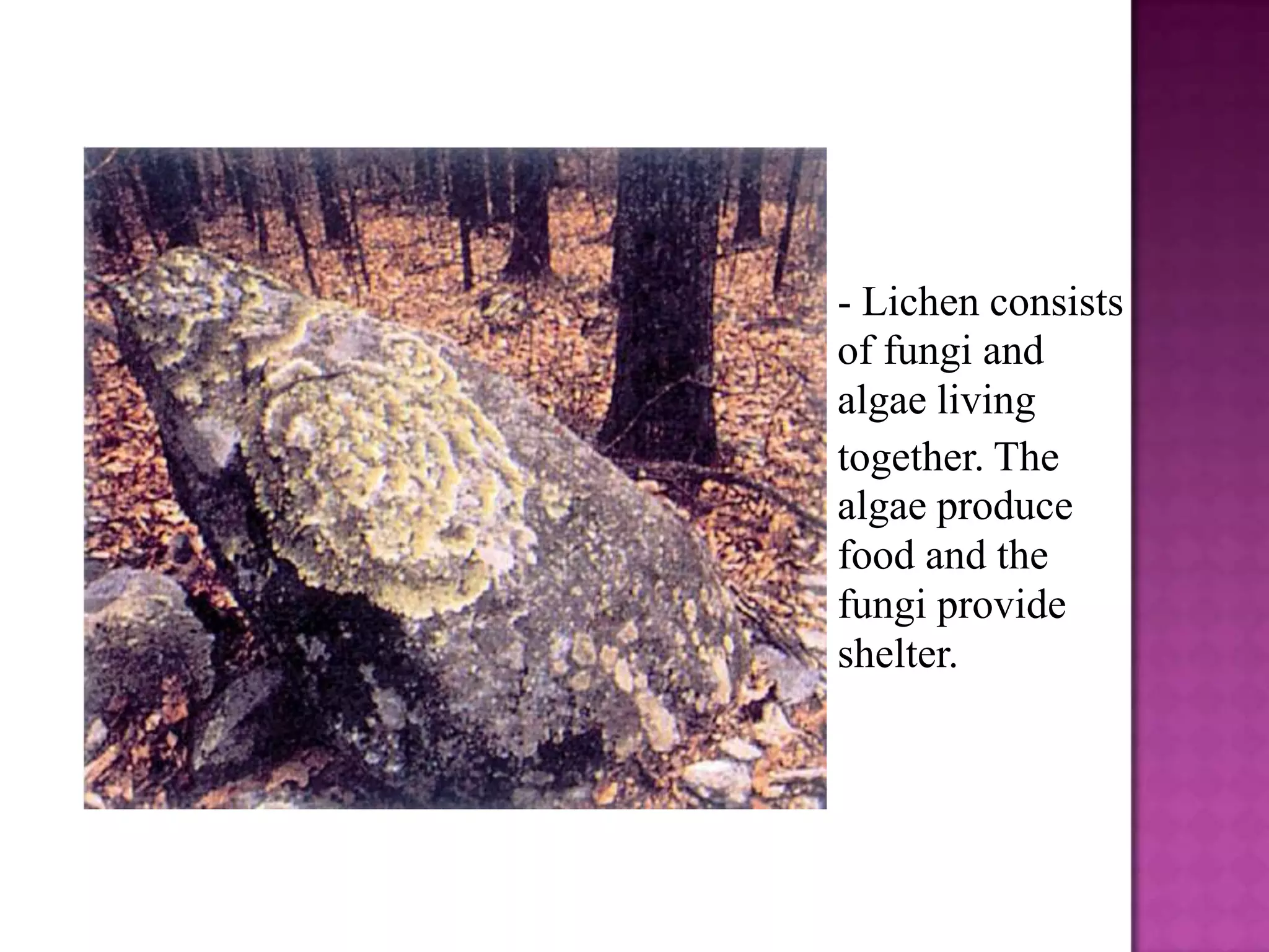 Chapter 4 interdependence among living organisms and the envirronment ...