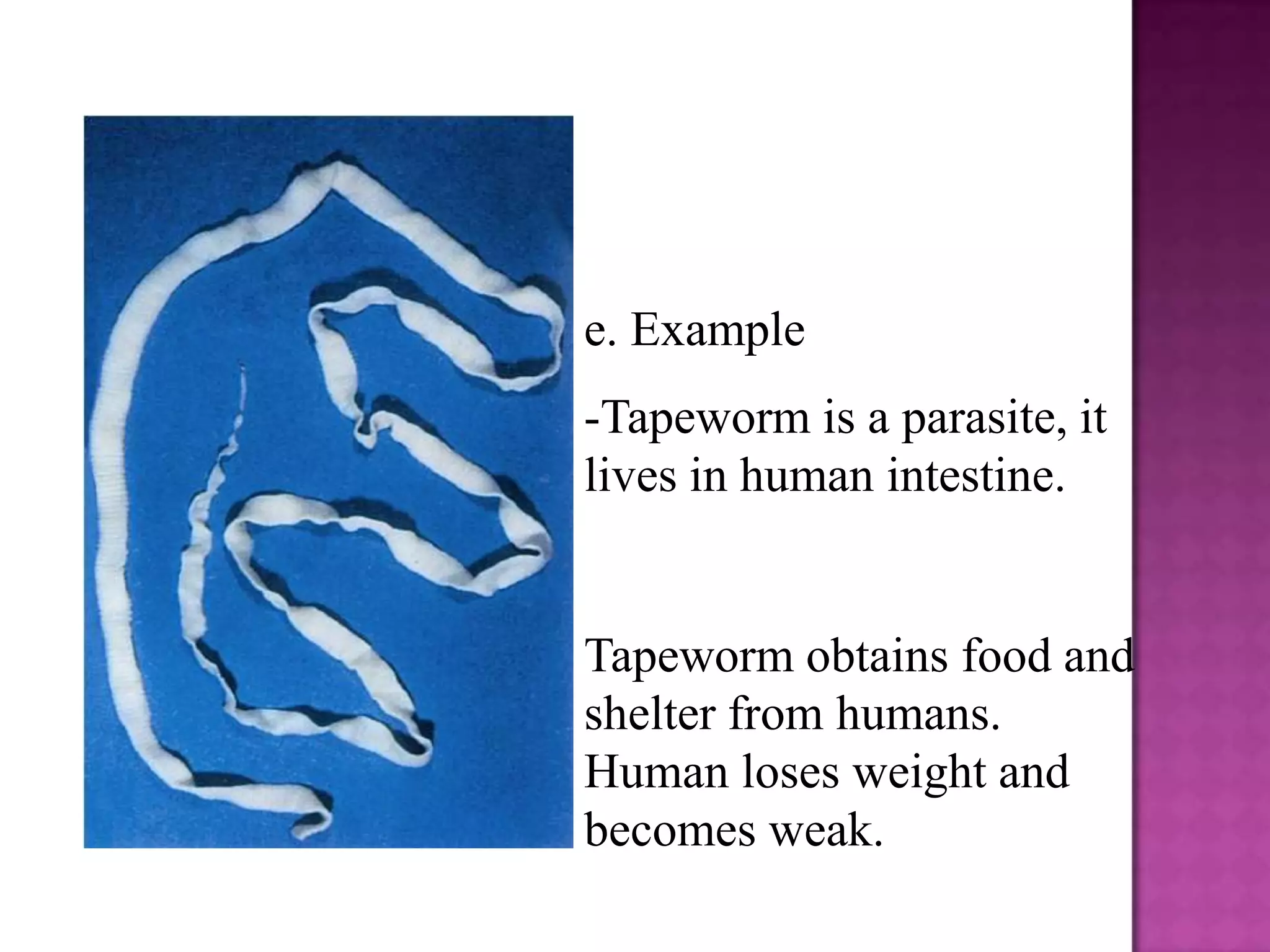 Chapter 4 interdependence among living organisms and the envirronment ...