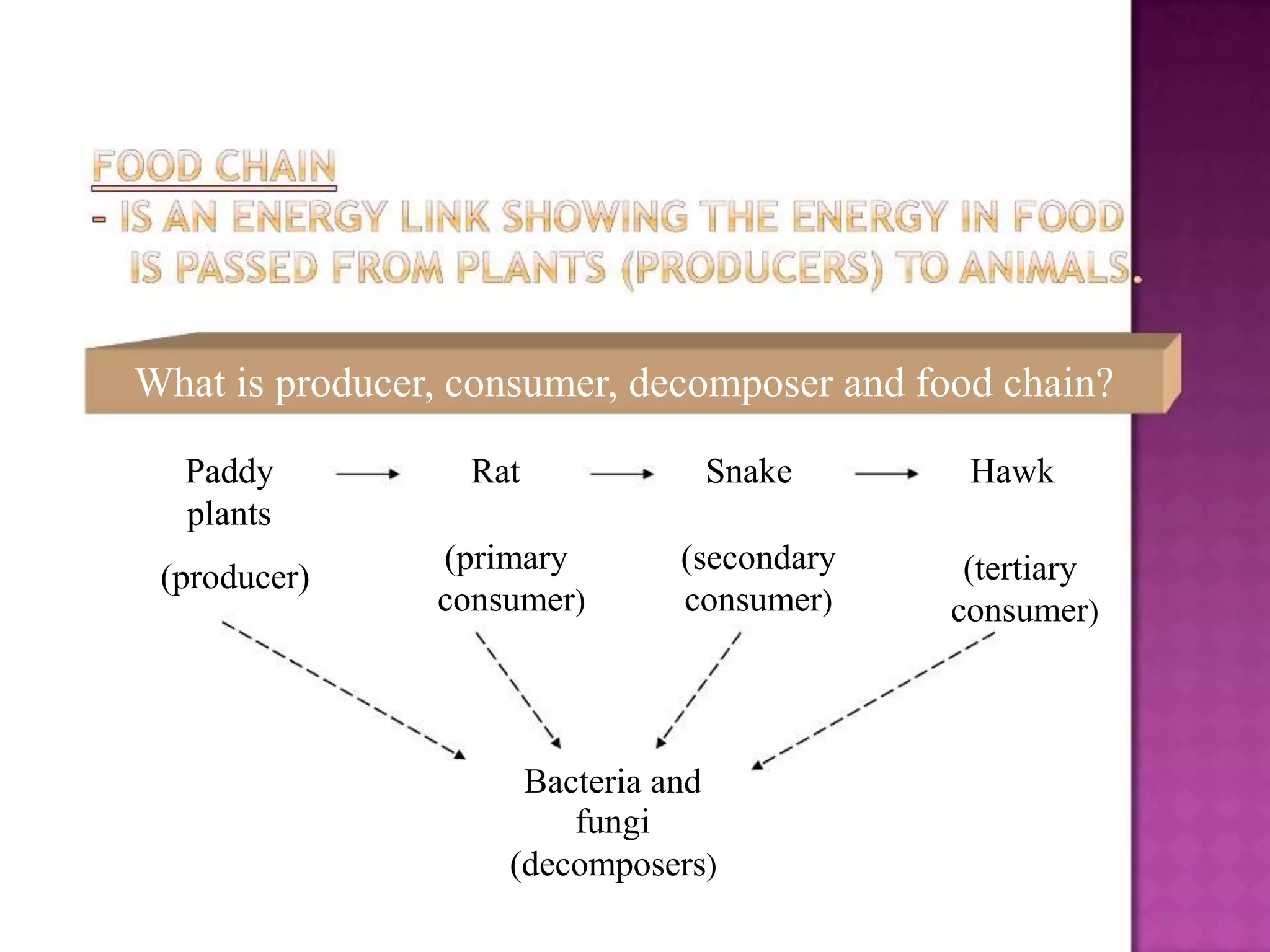 Chapter 4 interdependence among living organisms and the envirronment ...