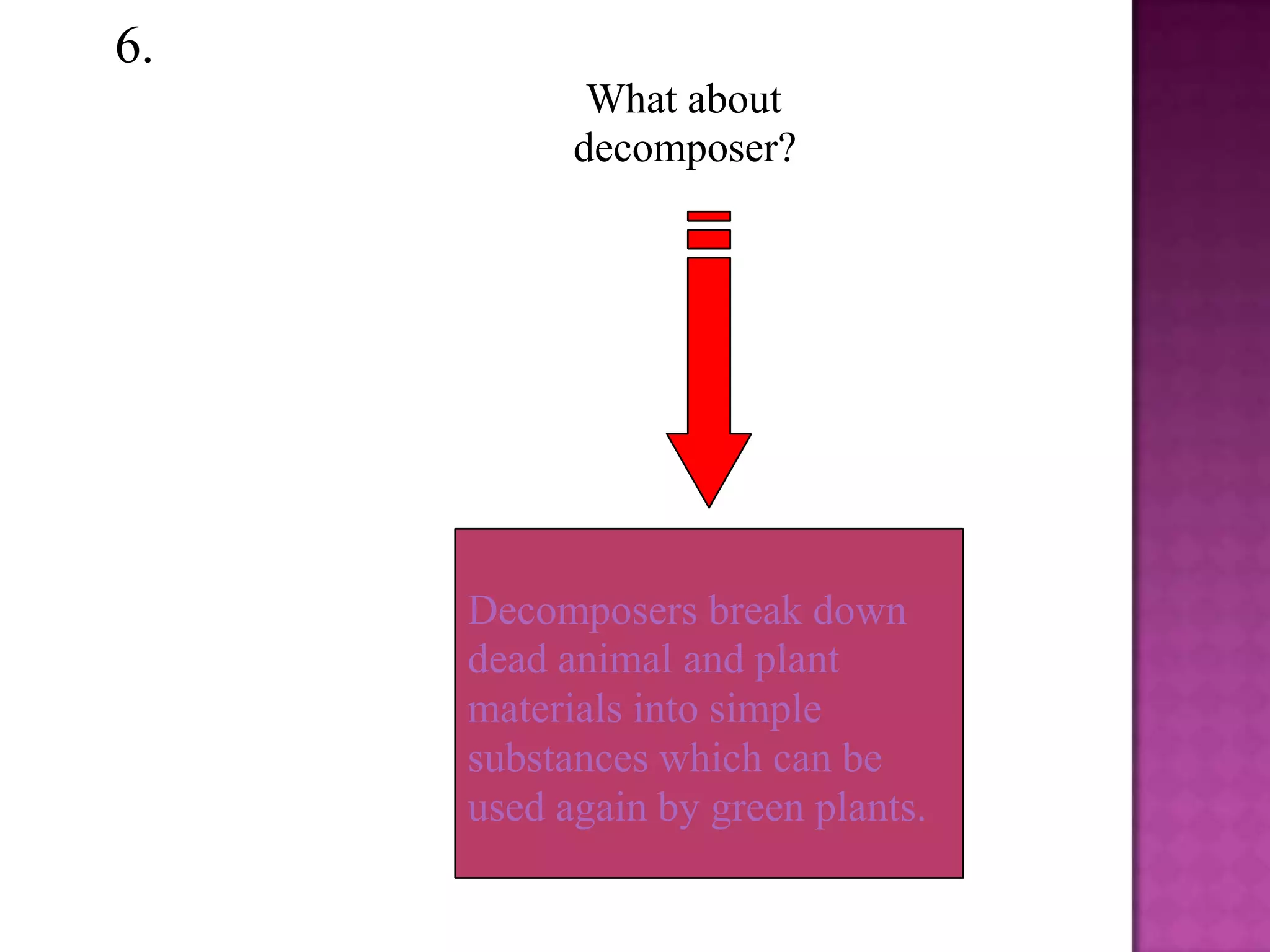 Chapter 4 interdependence among living organisms and the envirronment ...