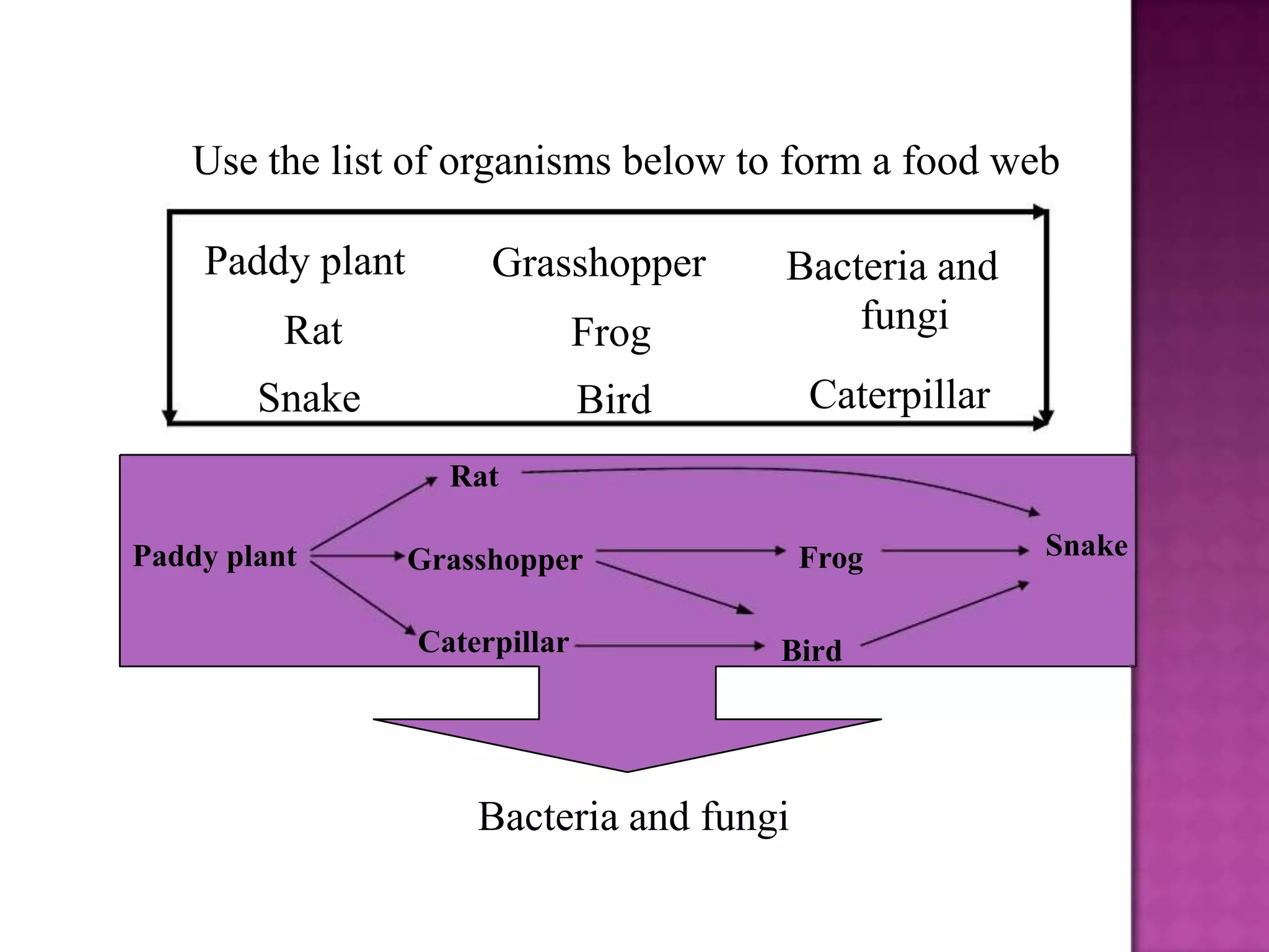 Chapter 4 interdependence among living organisms and the envirronment ...