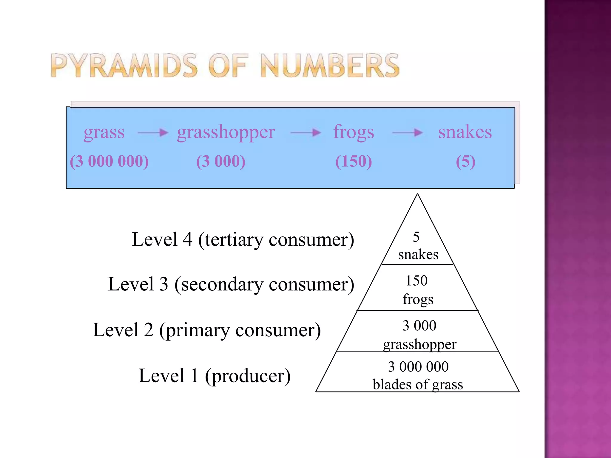 Chapter 4 interdependence among living organisms and the envirronment ...