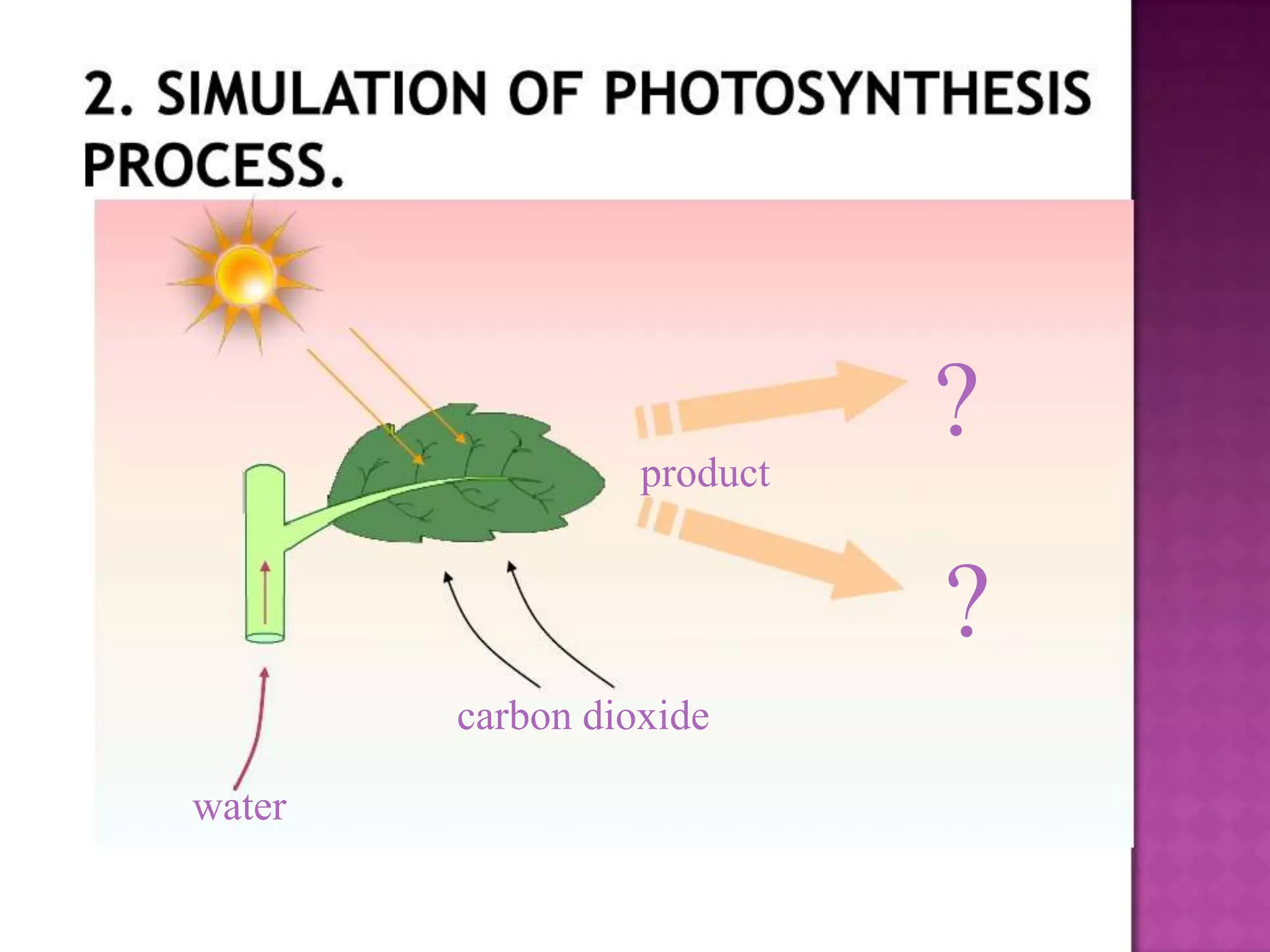 Chapter 4 interdependence among living organisms and the envirronment ...