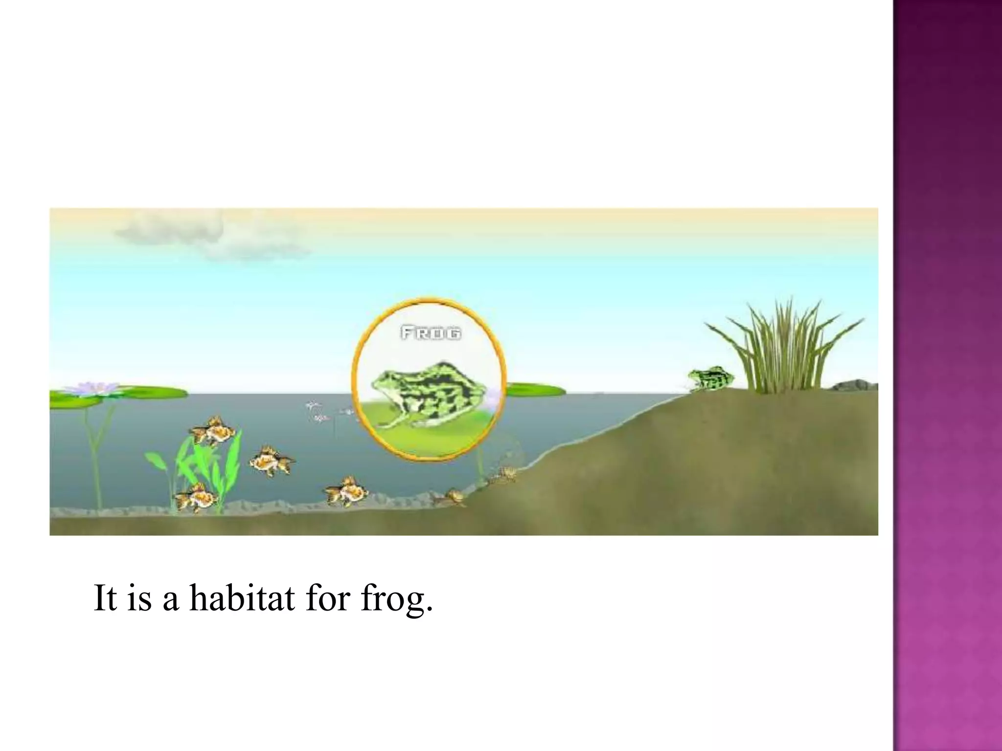 Chapter 4 interdependence among living organisms and the envirronment ...