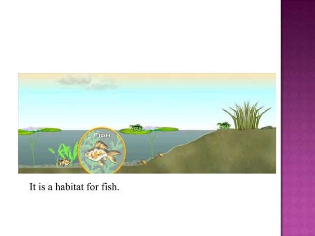 Chapter 4 interdependence among living organisms and the envirronment ...