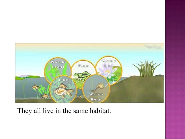 Chapter 4 interdependence among living organisms and the envirronment ...