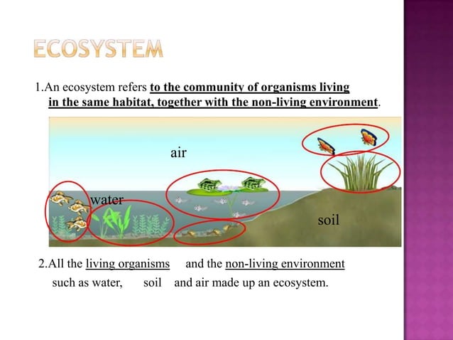 Chapter 4 interdependence among living organisms and the envirronment ...