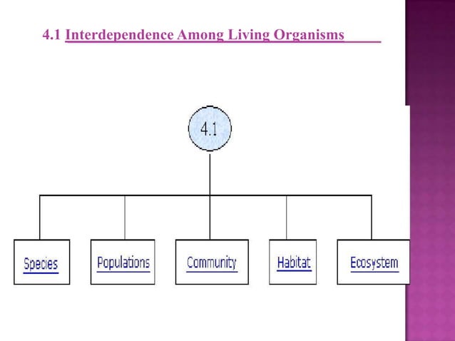 Chapter 4 interdependence among living organisms and the envirronment ...