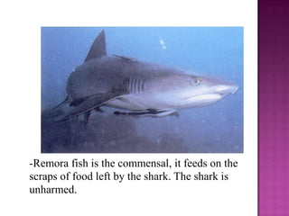 Chapter 4 interdependence among living organisms and the envirronment ...