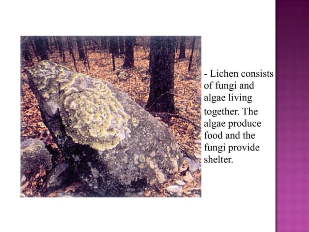 Chapter 4 interdependence among living organisms and the envirronment ...