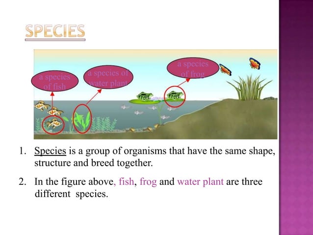 Chapter 4 interdependence among living organisms and the envirronment ...