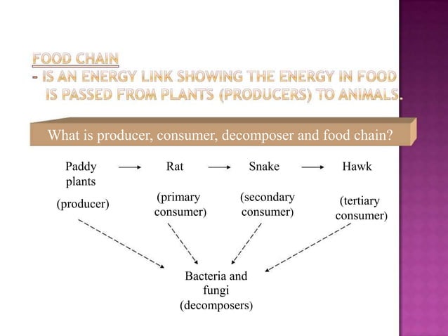 Chapter 4 interdependence among living organisms and the envirronment ...