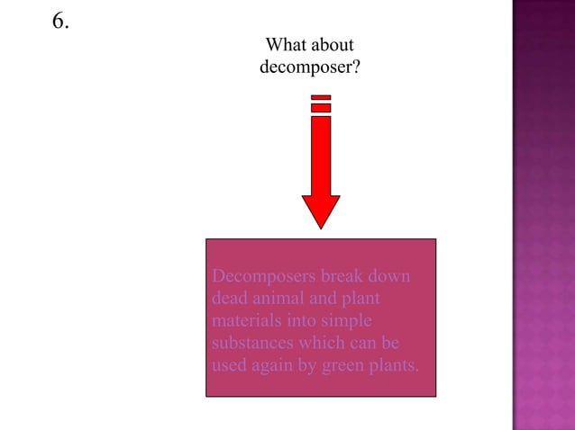 Chapter 4 interdependence among living organisms and the envirronment ...