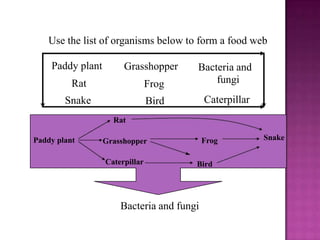 Chapter 4 interdependence among living organisms and the envirronment ...