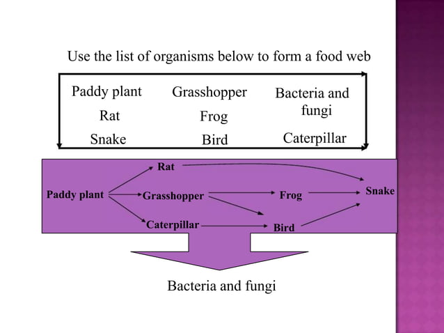 Chapter 4 interdependence among living organisms and the envirronment ...