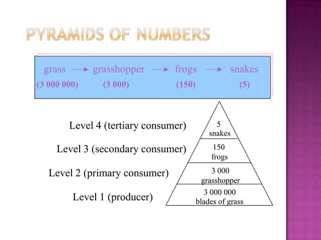Chapter 4 interdependence among living organisms and the envirronment ...