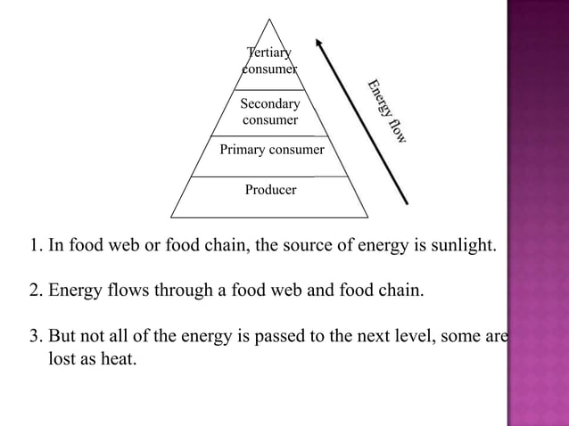 Chapter 4 interdependence among living organisms and the envirronment ...