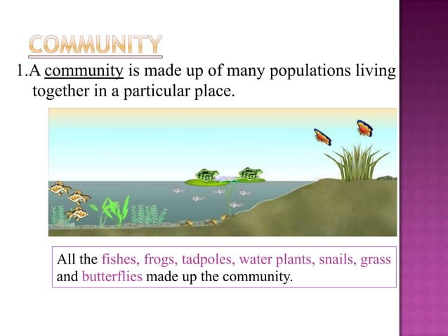 Chapter 4 interdependence among living organisms and the envirronment ...
