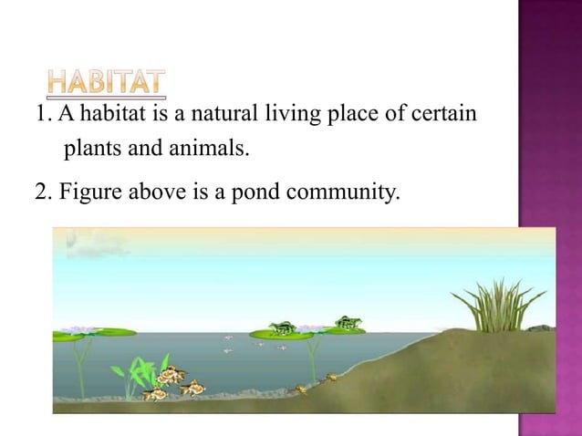 Chapter 4 interdependence among living organisms and the envirronment ...