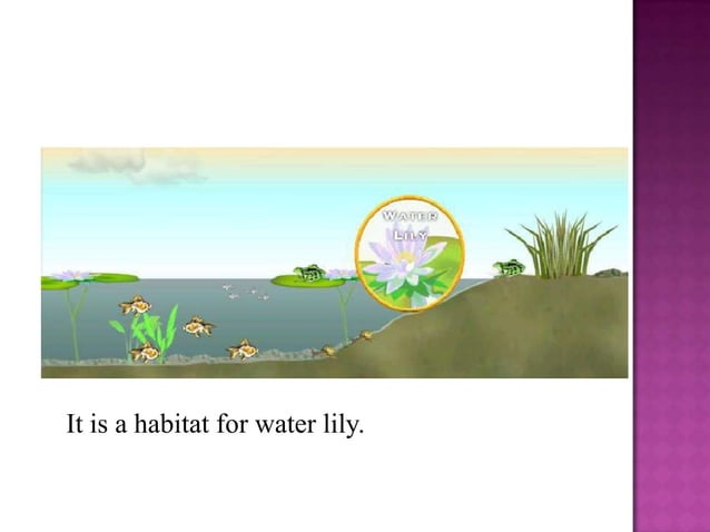 Chapter 4 interdependence among living organisms and the envirronment ...