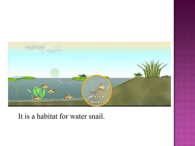 Chapter 4 interdependence among living organisms and the envirronment ...