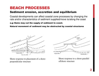 Chapter 4 Introduction to beach processes and management strategies | PDF