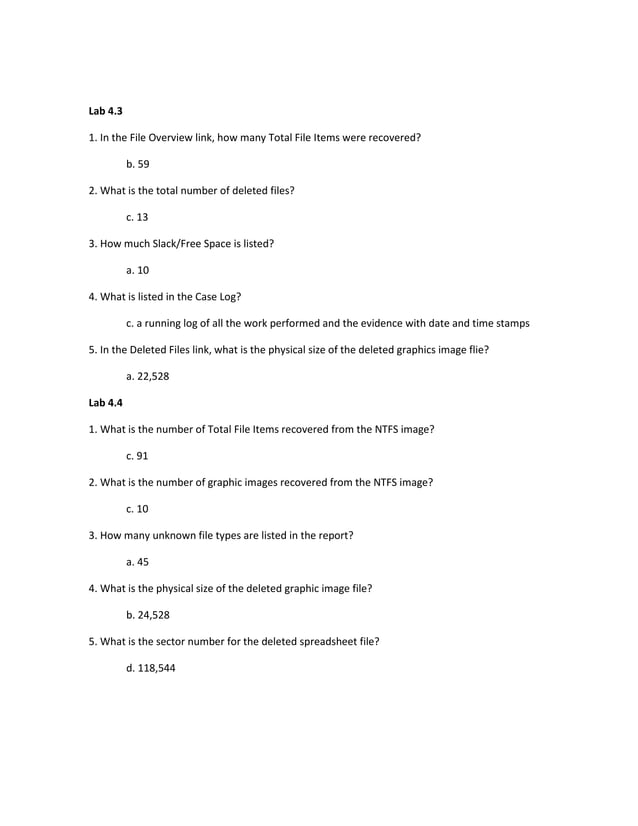 Chapter #4 lab | DOCX